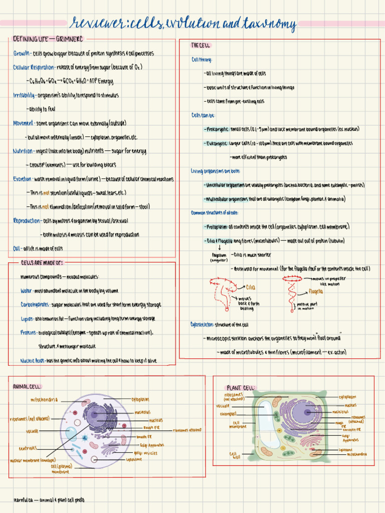 Bio - Krisa | PDF | Evolution | Cell (Biology)