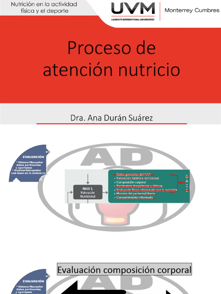 Clase 6 - PAN Composición Corporal - MCT yMLG | PDF | Tejido adiposo ...