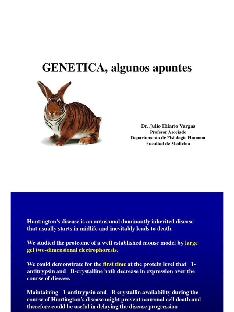 Clase Genetica-2011 (Modo de Ad | PDF | Mutation | Gene