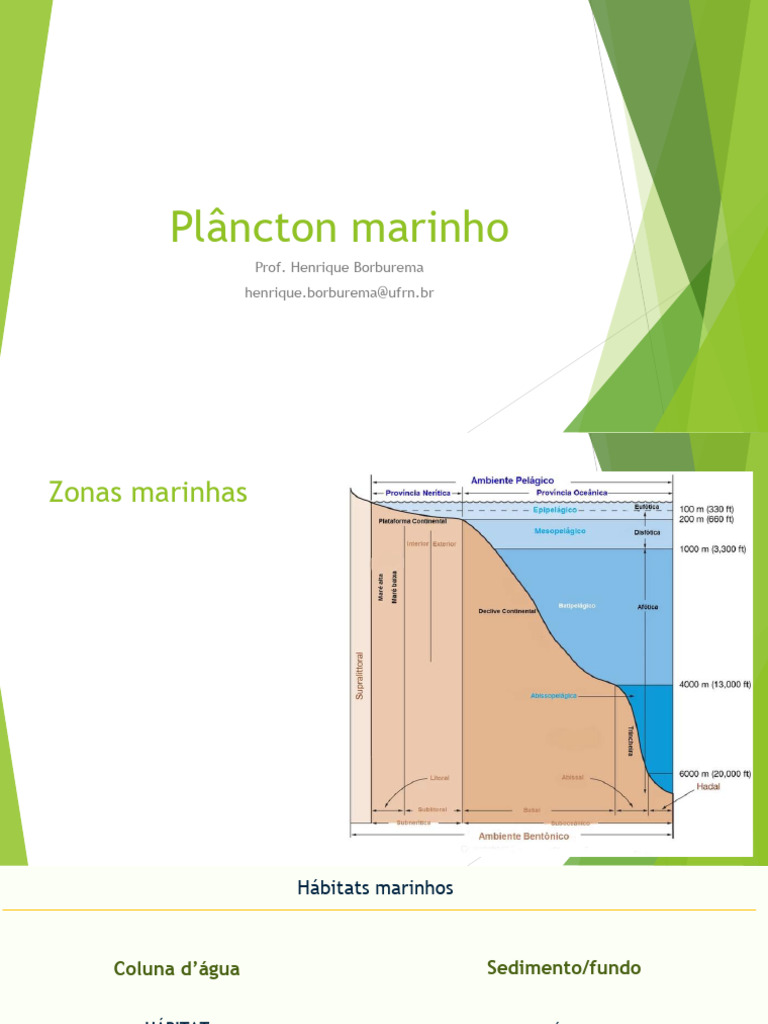Aula Plancton Marinho | PDF | Fitoplâncton | Biologia Marinha