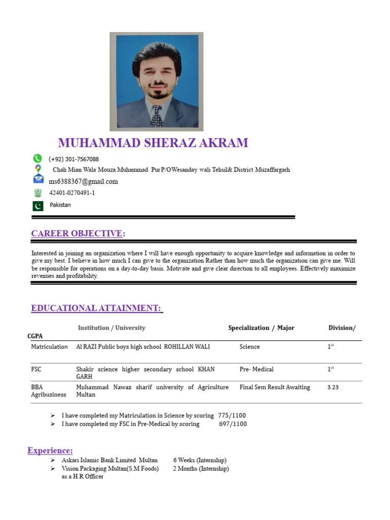 Muhammad Sheraz Akram - Resume | PDF
