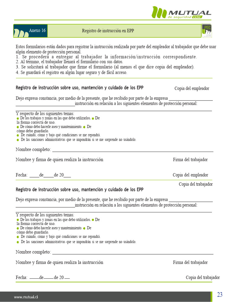Registro capacitación uso EPP | PDF