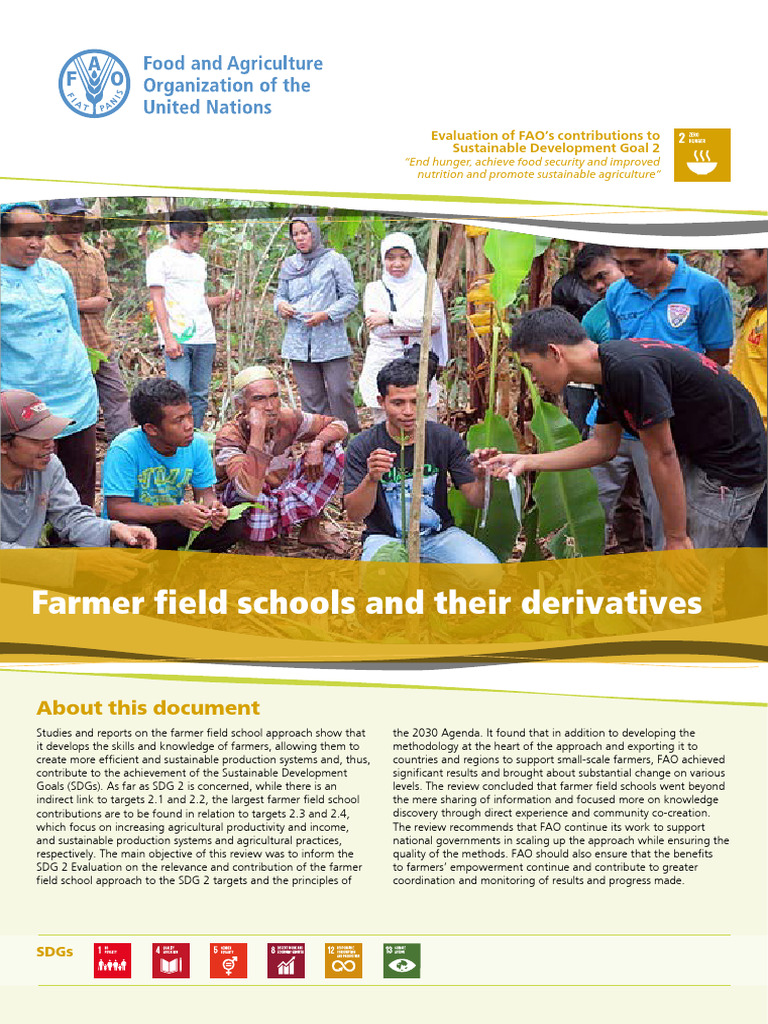 FAO's Impact on SDG 2 via Farmer Field Schools | PDF | Agriculture ...