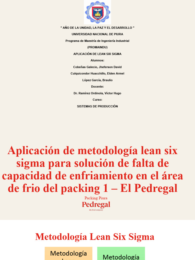 Lean Six Sigma | PDF | Six Sigma | Lean Manufacturing