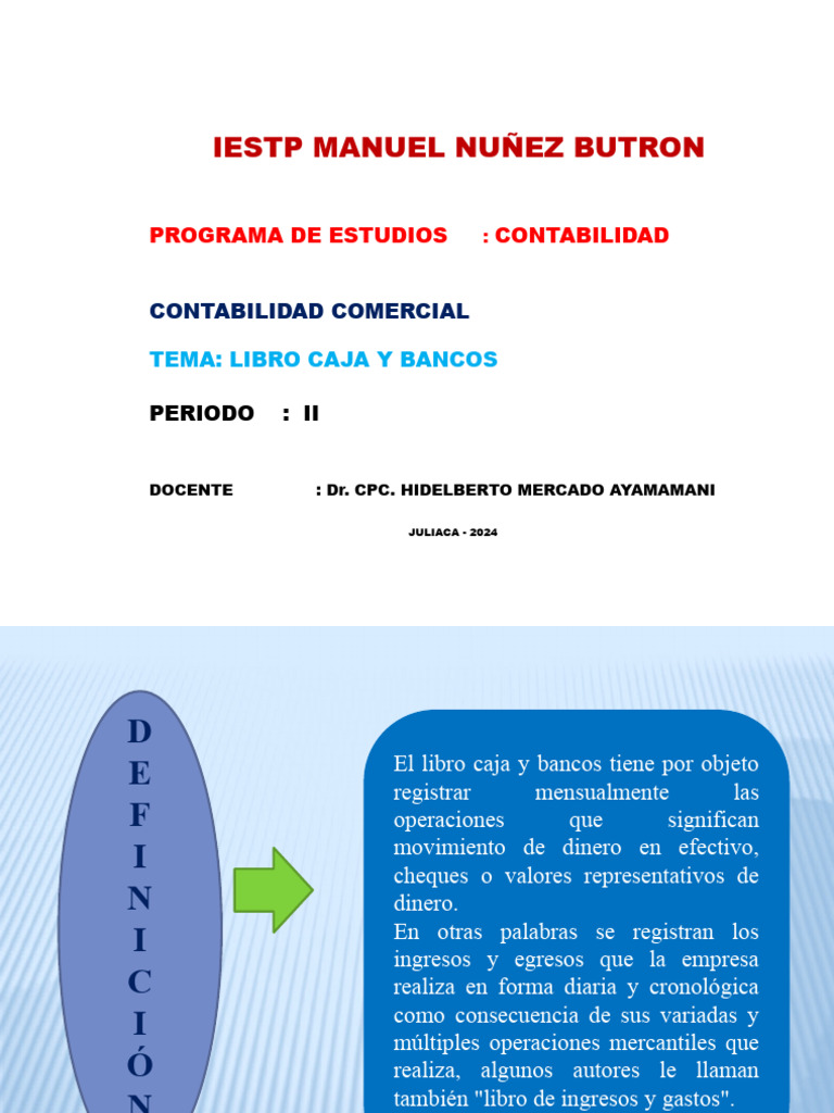 Libro Caja y Bancos: Guía Contable 2024 | PDF | Contabilidad | Bancos