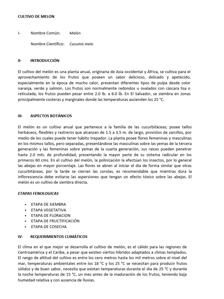 CULTIVO DE MELÓN -GUÍA TECNICA | Descargar gratis PDF | Fertilizante | Hoja