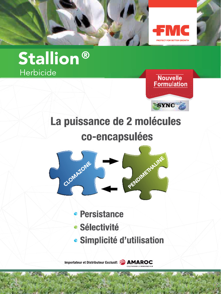 Stalion A4 | PDF