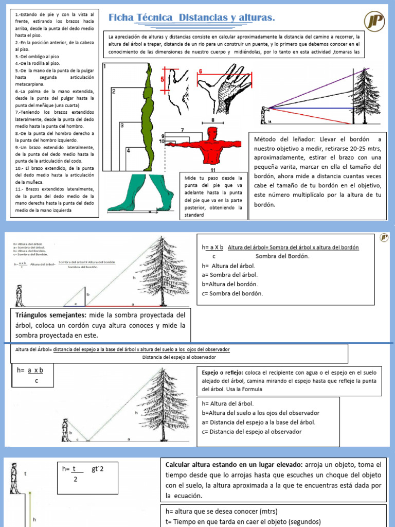 Ficha Tecnica Distancias y Alturas JP | PDF | Mano | Espejo