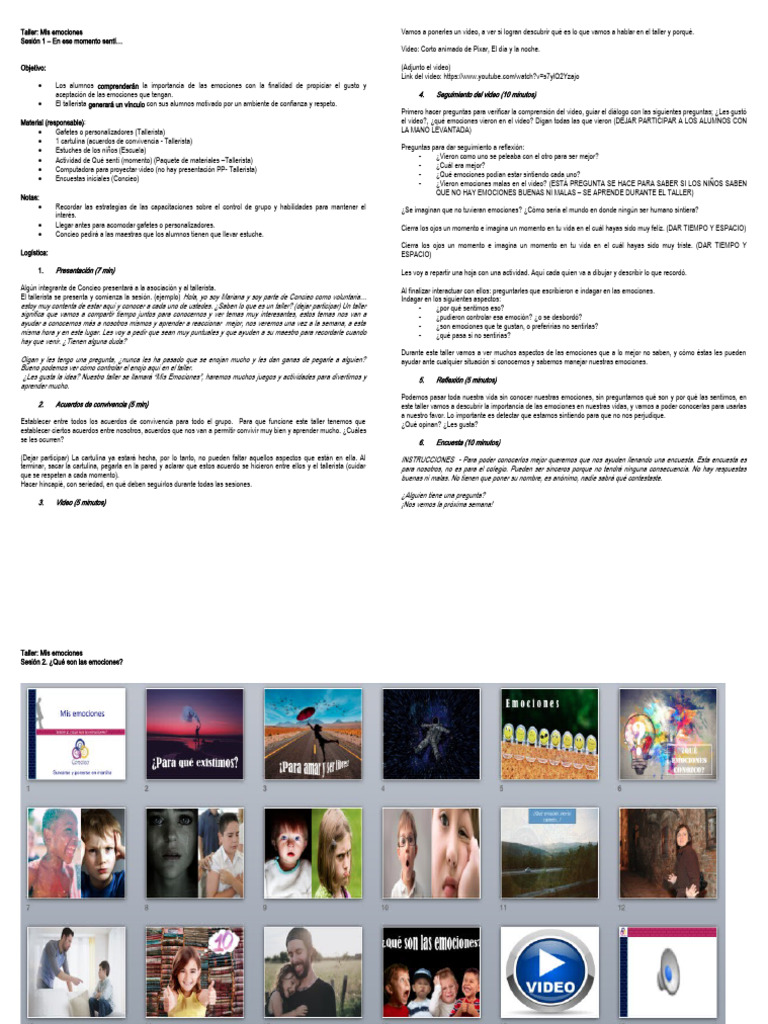 Resumen Mis Emociones | Descargar gratis PDF | Tolerancia | Las emociones