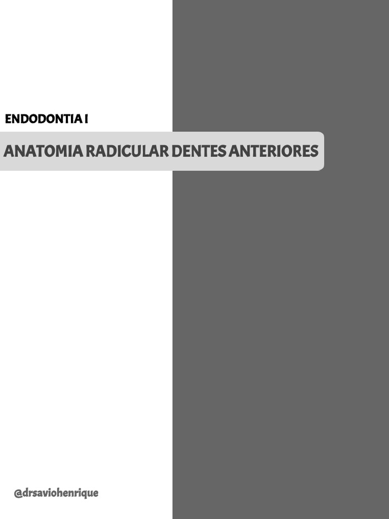 1 - Anatomia Radicular Dentes Anteriores | PDF | Anatomia dental ...