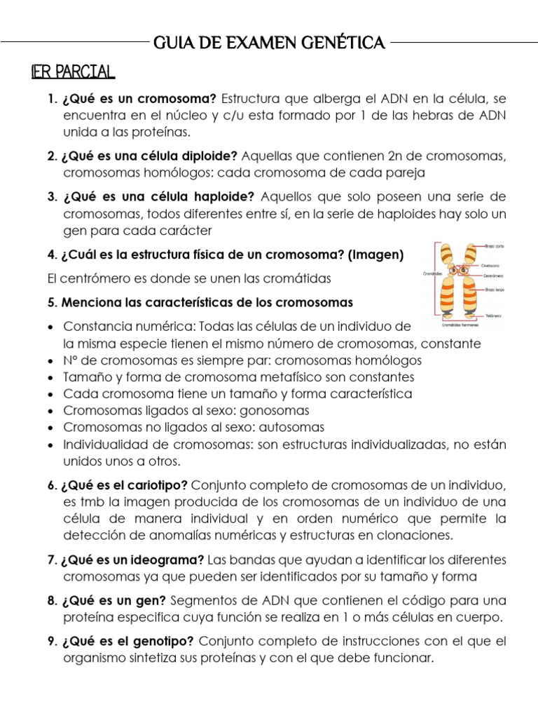 Guia de Examen Genética 2 | PDF | Dominancia (Genética) | Alelo