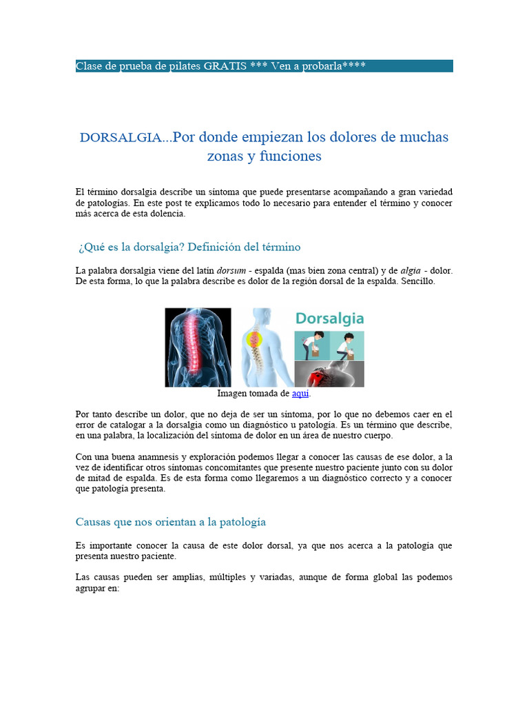 Entendiendo la Dorsalgia | PDF | Sistema musculoesquelético | Medicina ...