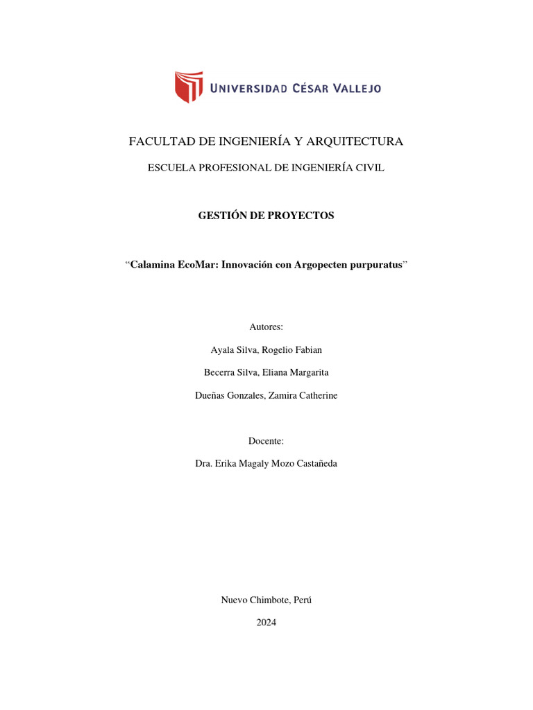 Calamina Ecomar G-06 | PDF | Marketing | Empresa de inicio