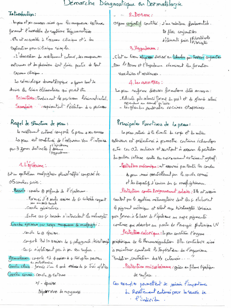 Sara Bou - Démarche Diagnostic | PDF