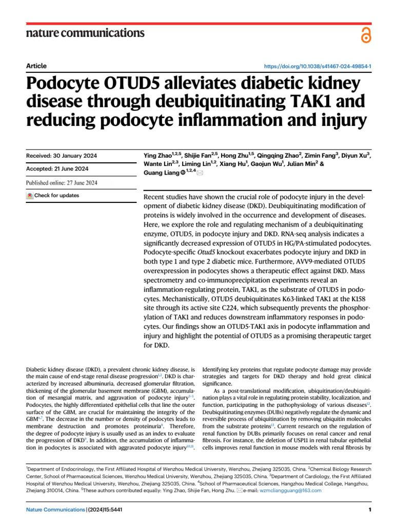 Podocyte OTUD5 Alleviates Diabetic Kidney Disease Through ...