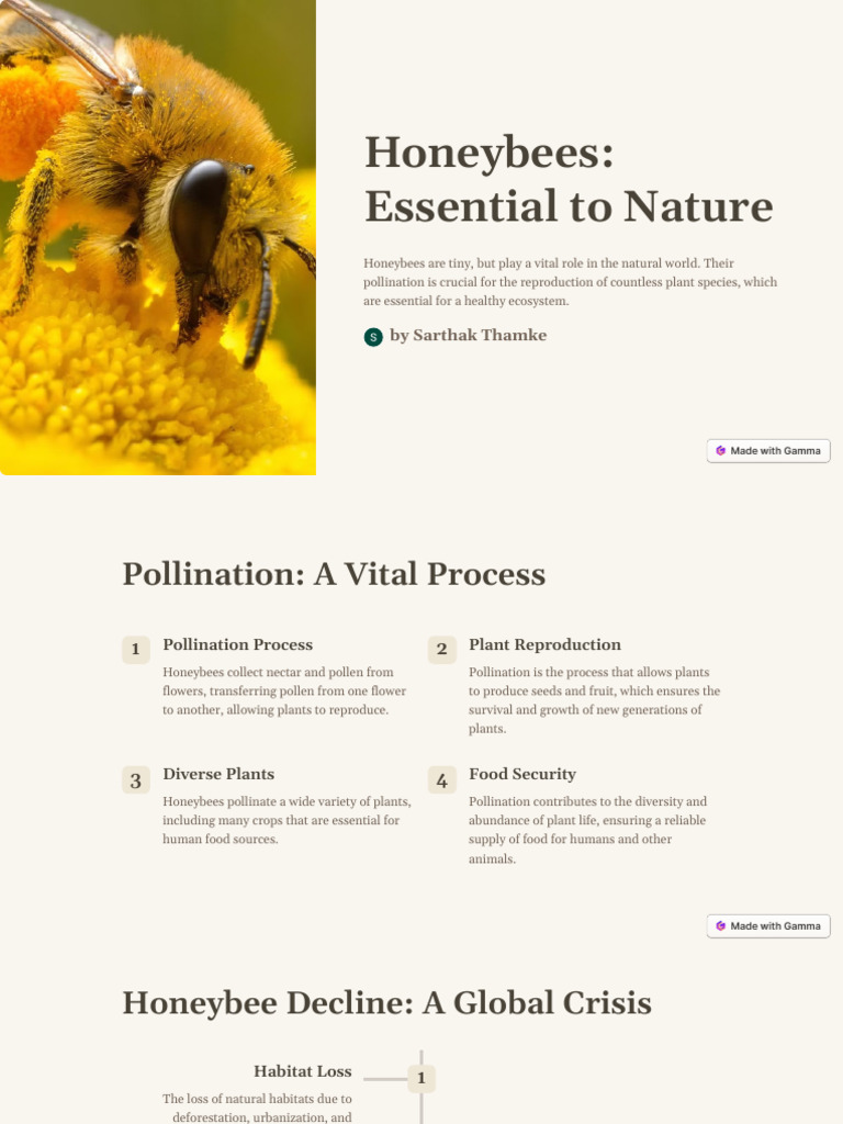 Honeybees Essential To Nature | PDF | Pollination | Biodiversity