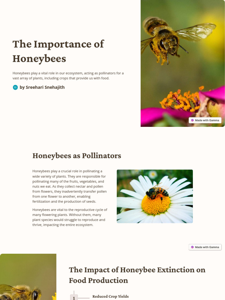 The Importance of Honeybees | PDF | Pollination | Honey Bee