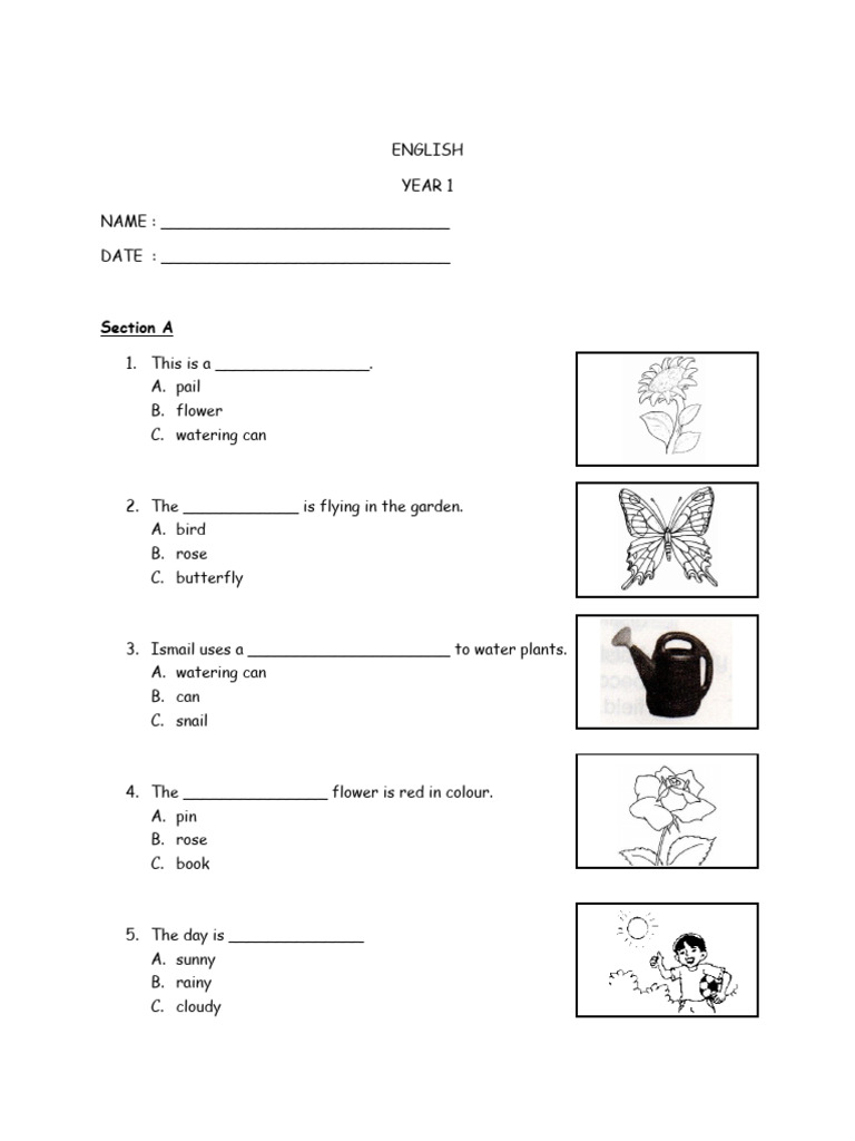 Pat English Y1 | PDF