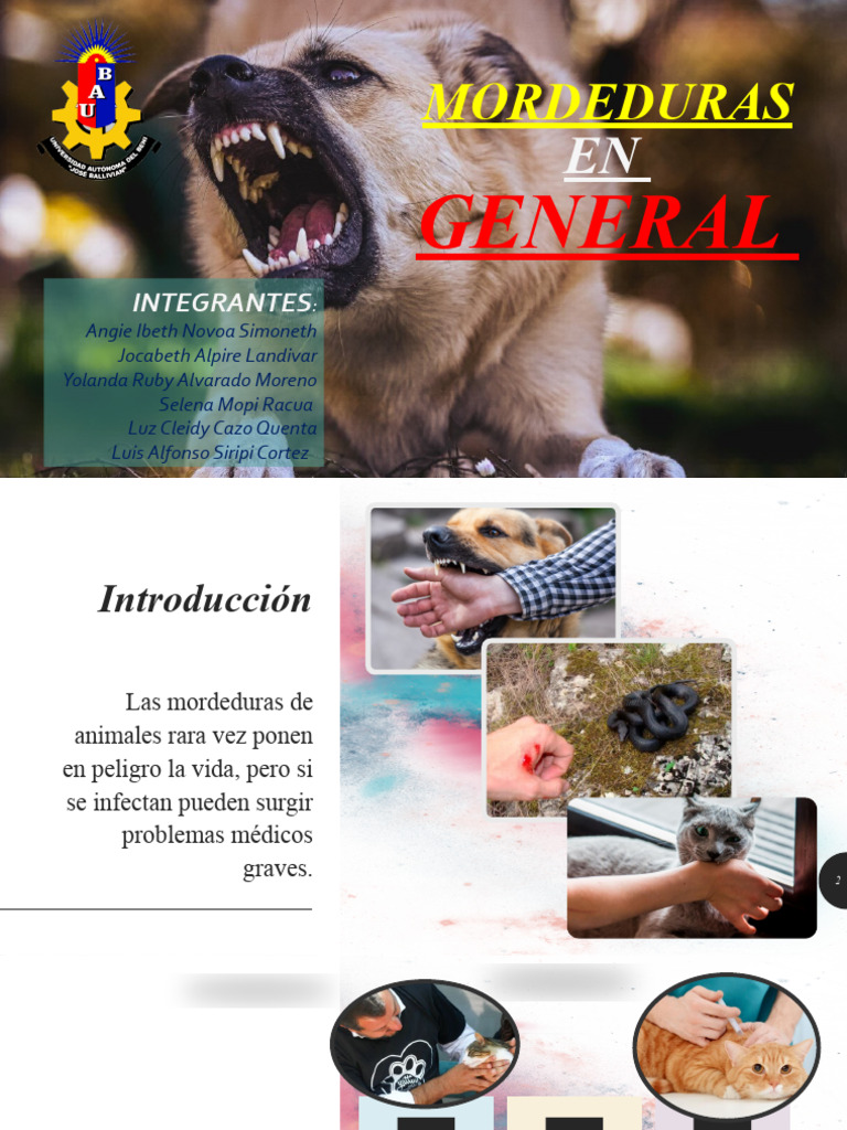 Mordedura S | PDF | Rabia | Herida