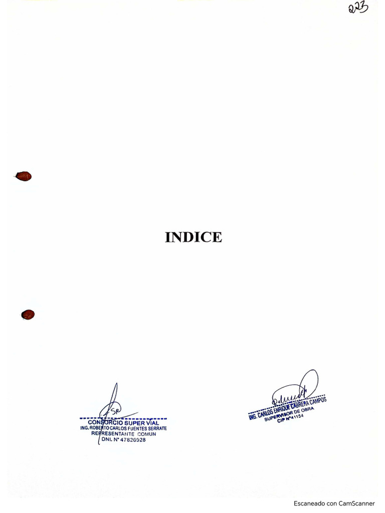Colocar Pagina Indice | PDF