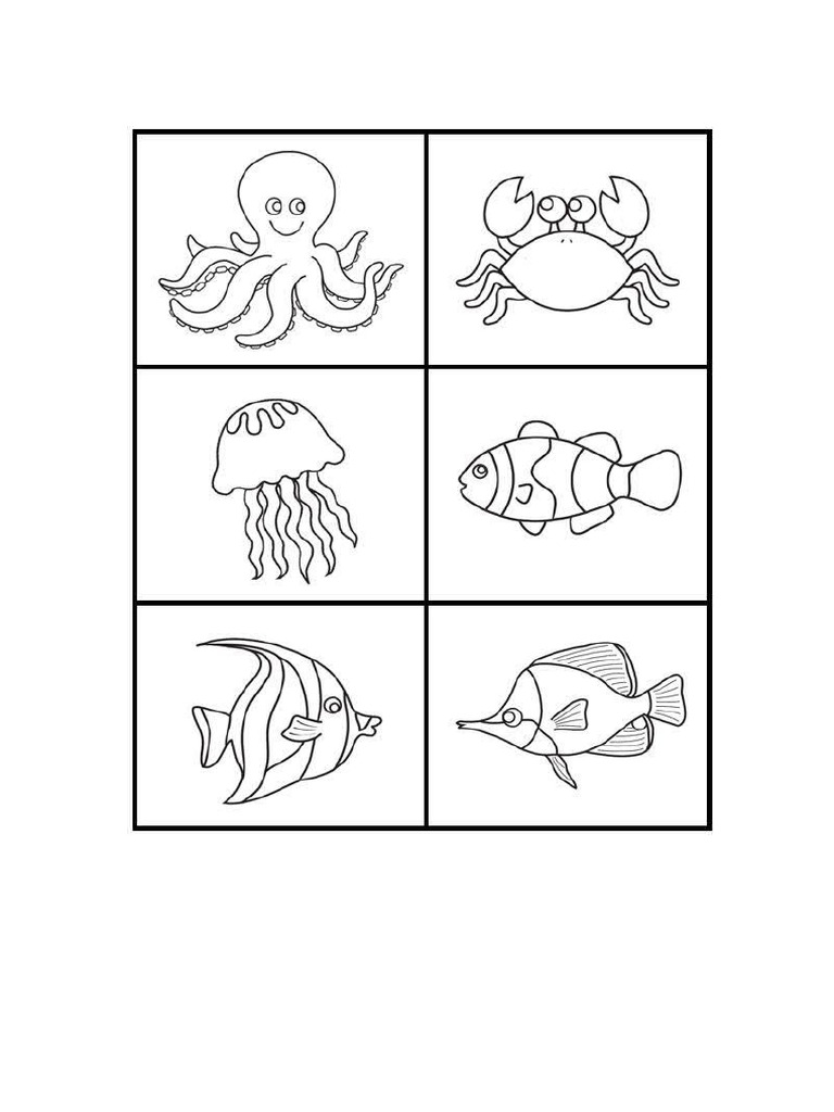 Animal Group Project Live in Water | PDF