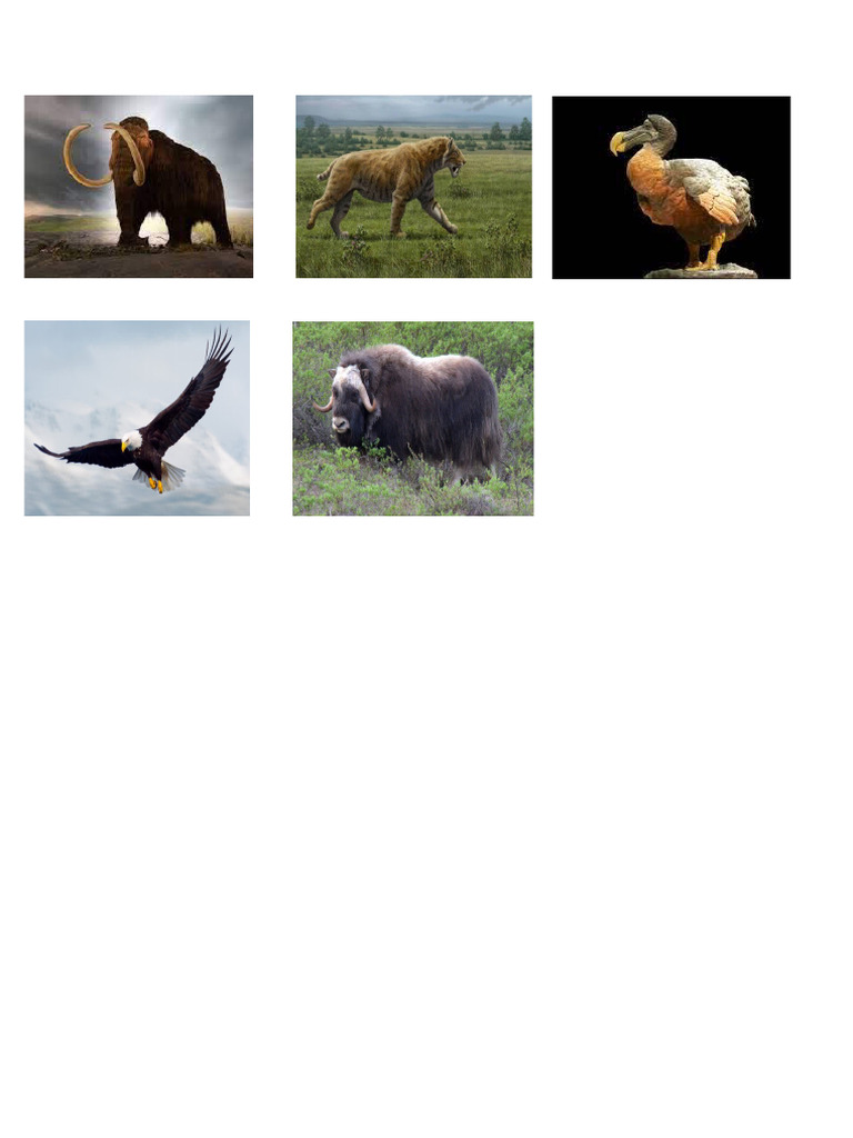 Animales Imprimir Pdf