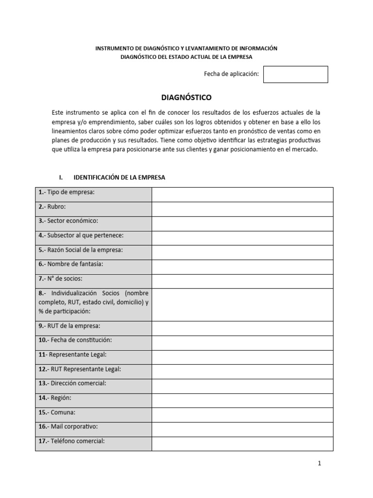 Formato Diagnóstico Levantamiento de Información | PDF | Iniciativa empresarial | Business