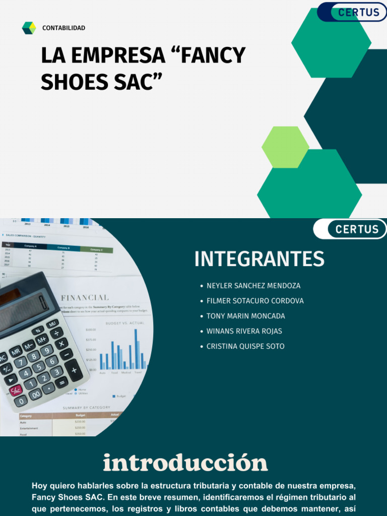La Empresa "Fancy Shoes SAC" | PDF