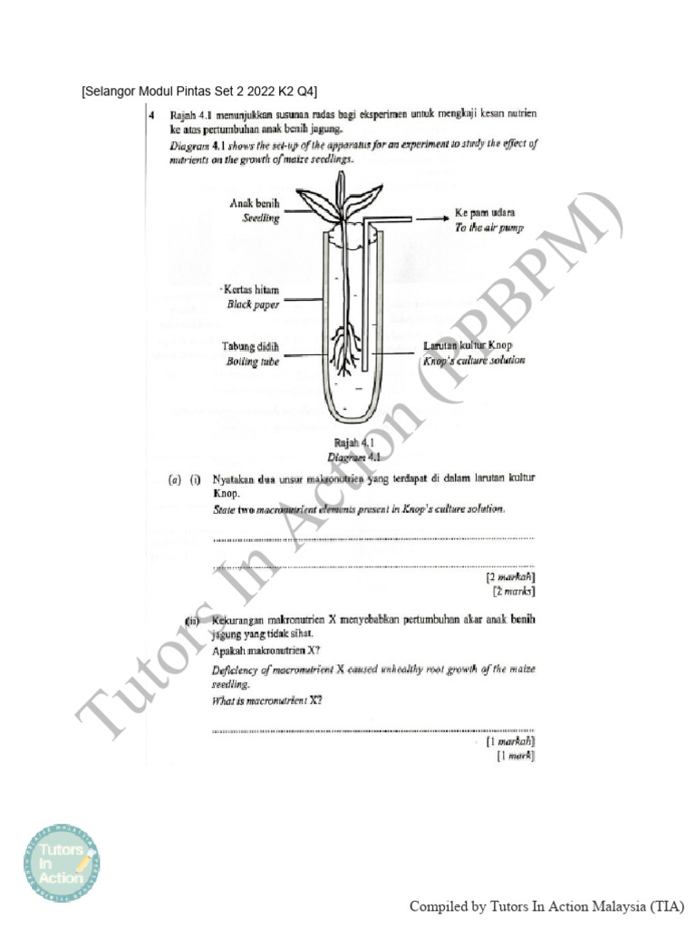 Chapter 3 Nutrition in Plants-2 | PDF | Association Football Clubs