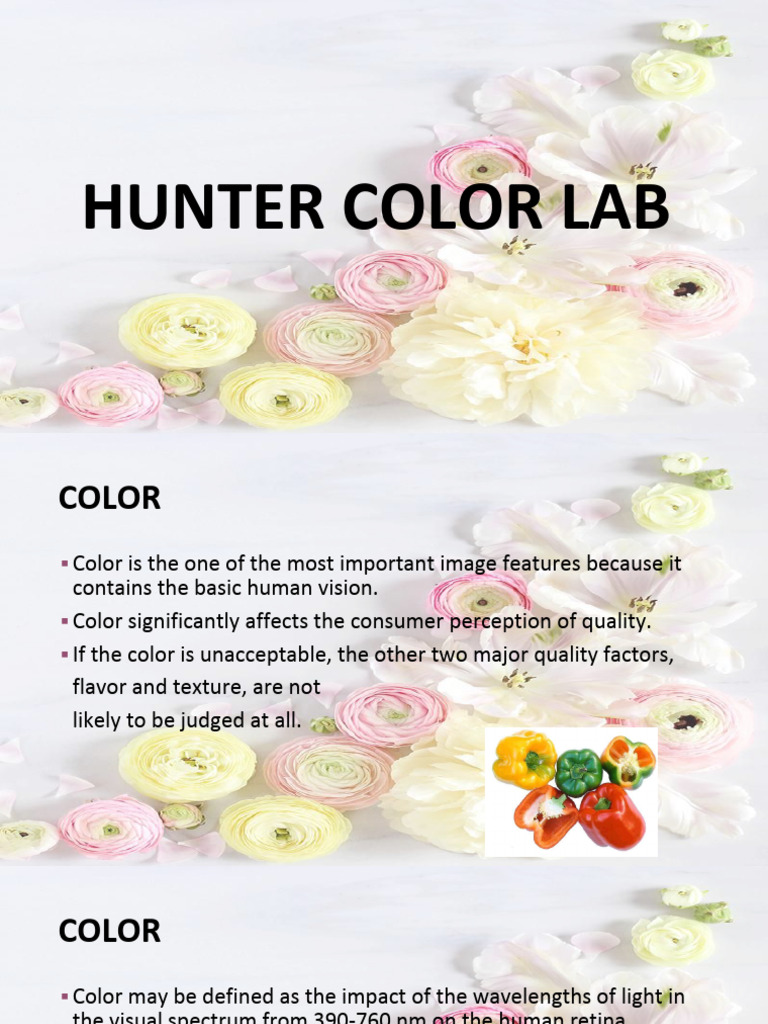 Hunter Color Lab | PDF | Color | Light