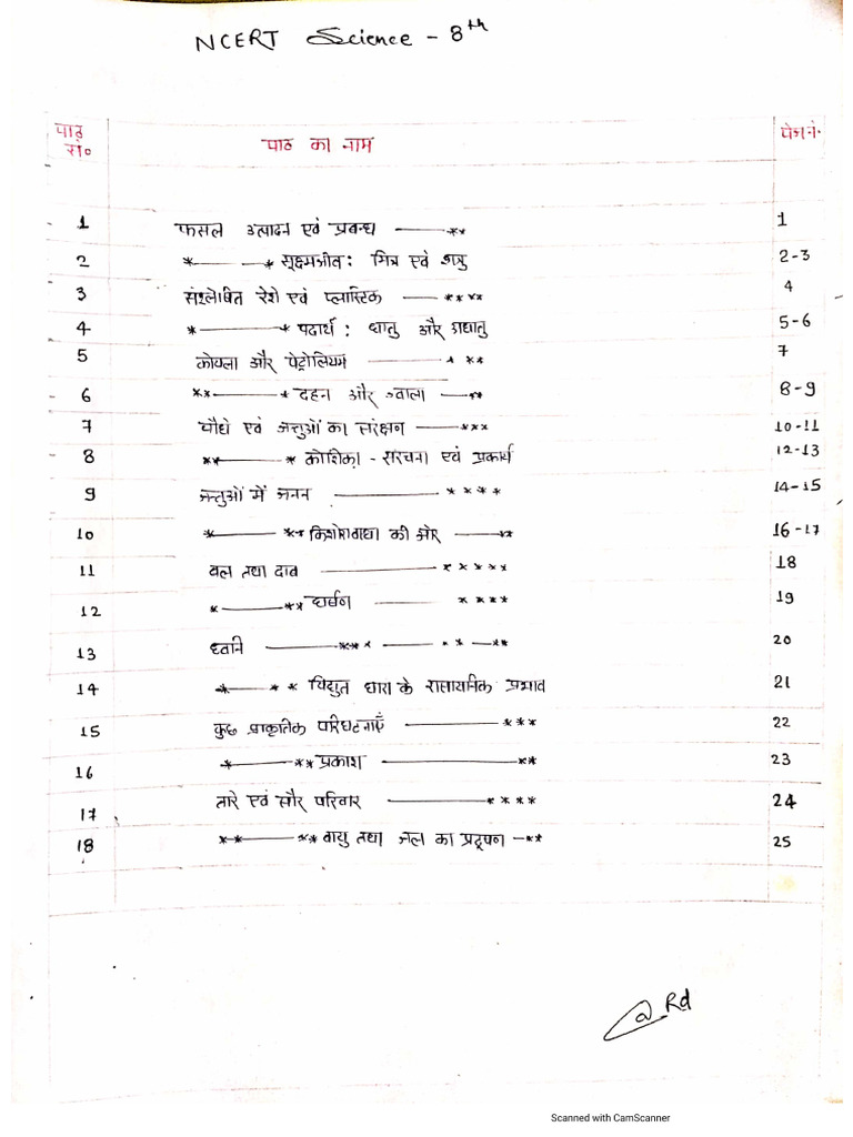Class 8 Ctet | PDF
