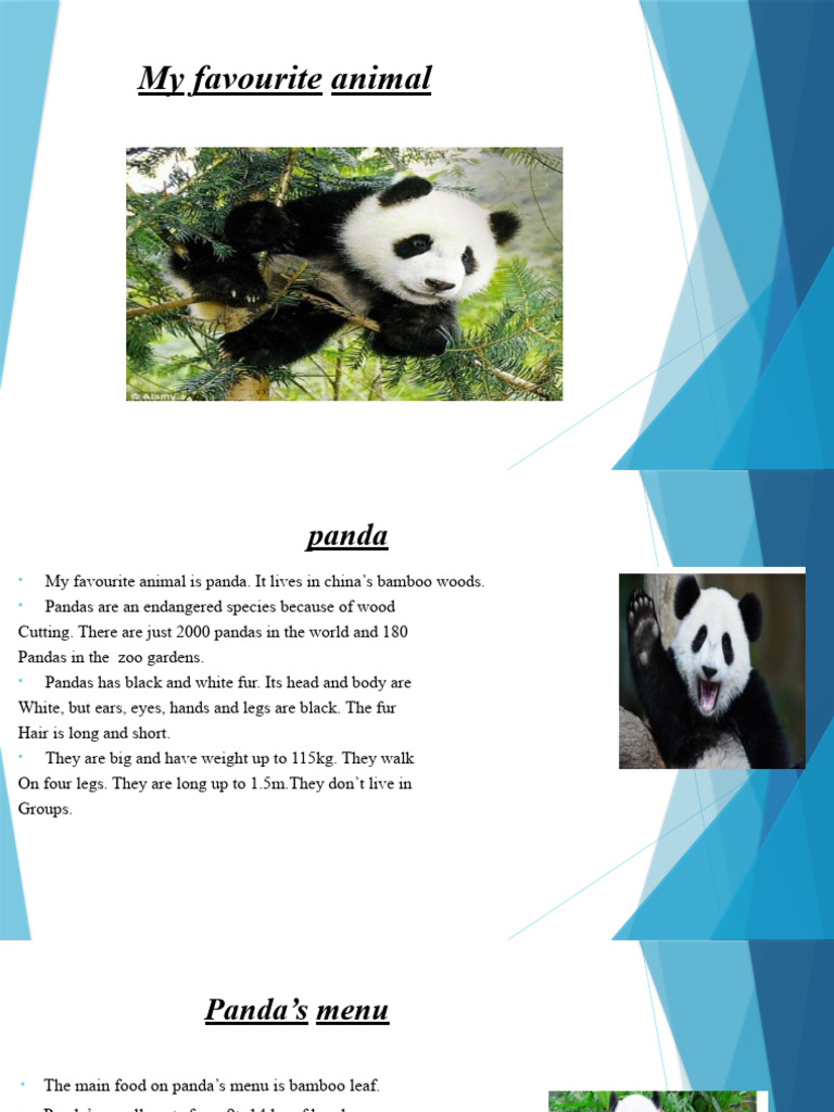 Facts About Pandas: Habitat, Diet, and Life | PDF