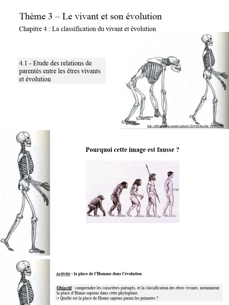 La Classification Du Vivant Et Son Évolution-Élèves | PDF