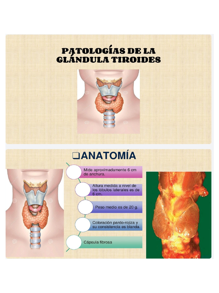 SmartSelect - 20240223 - 143959 - Samsung Internet-Fusionado | PDF