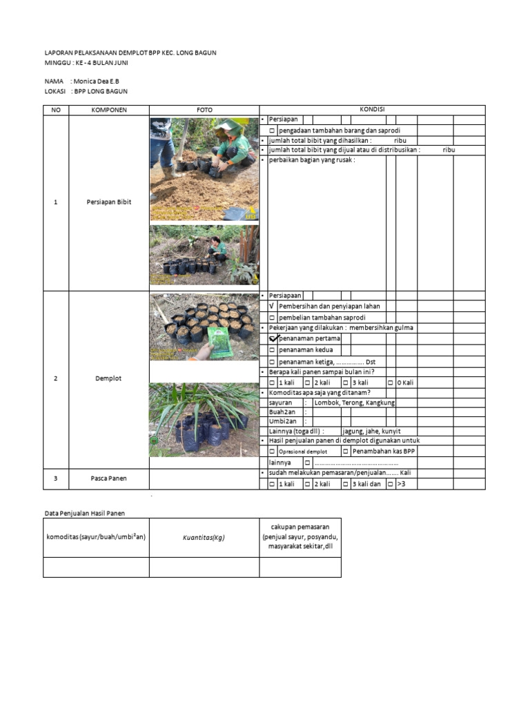 Laporan Demplot | PDF