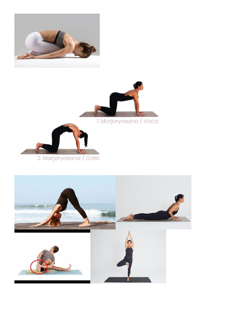 yoga | PDF