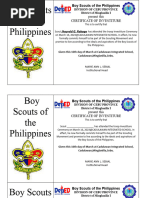 BSP Camp Participation Certificate | PDF