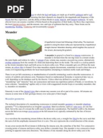 Microbe Mission Science Olympiad Cheat Sheet 2011 | PDF | Fungus ...