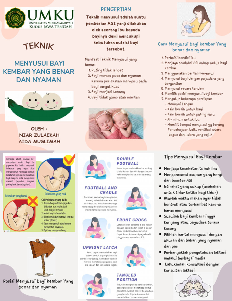 Cara Menyusui Bayi Kembar by Niar Dan Aida #Bu Dwi Astuti | PDF | Kesehatan Holistik