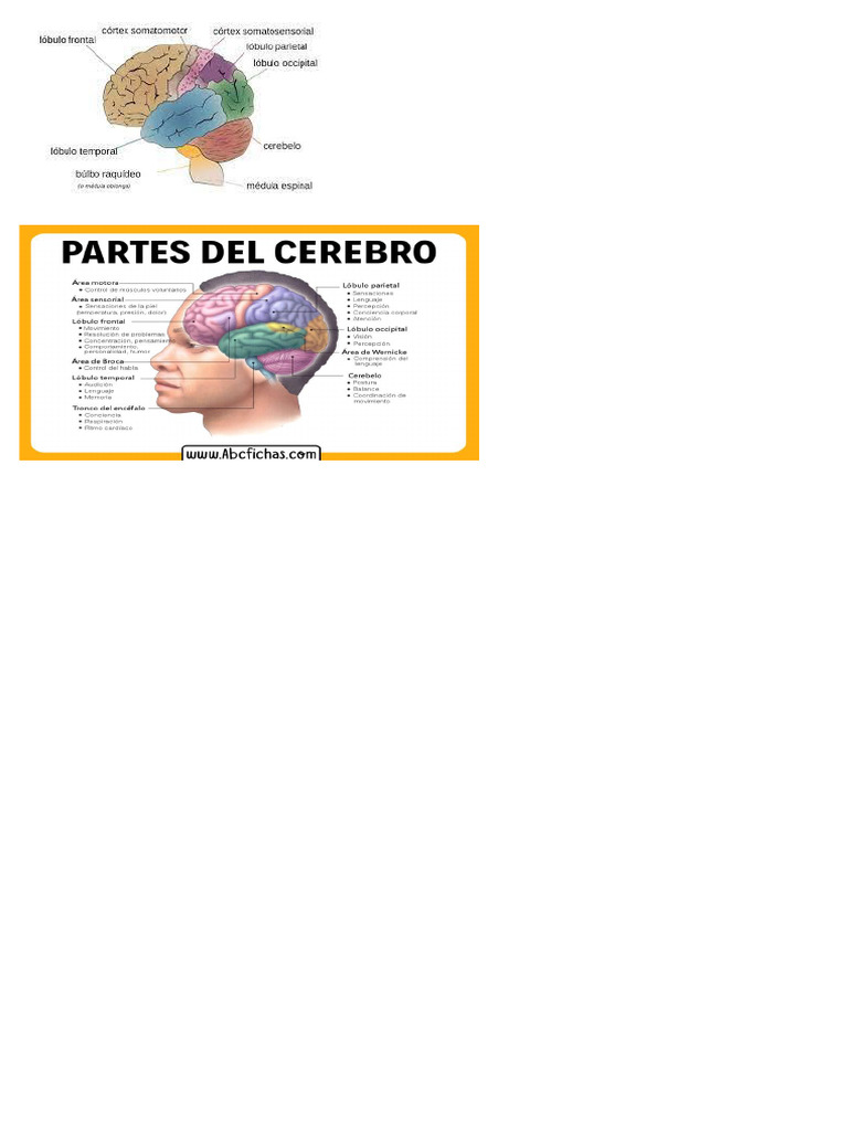 Wazaaaaaaa | PDF