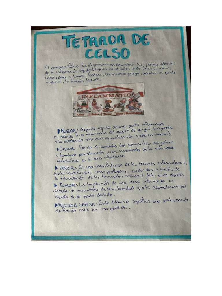 Tetrada de Celso | PDF