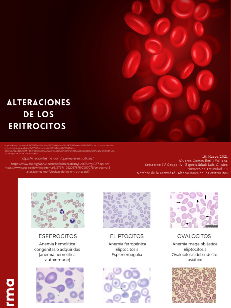 Alteraciones morfológicas de los eritrocitos | Descargar gratis PDF ...