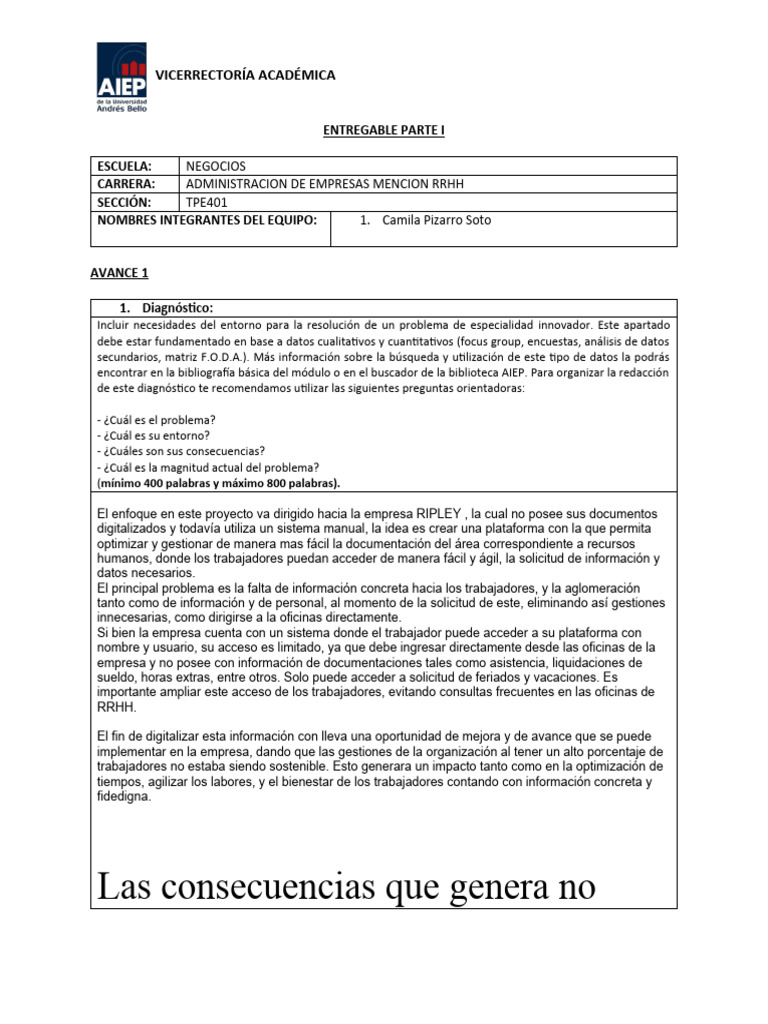 Camila Pizarro - TPE - SEMANA1 | PDF | Software | Business