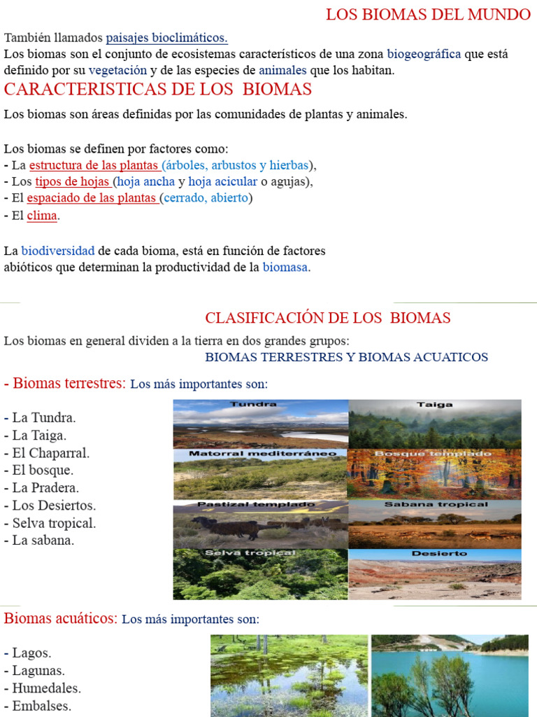 Guía de Biomas del Mundo | PDF | Hogar, jardinería y bricolaje | Tecnología