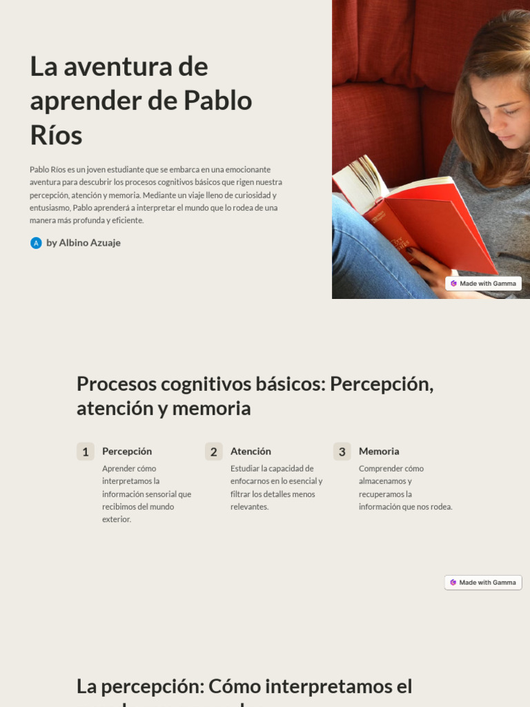 La Aventura de Aprender de Pablo Rios | PDF | Memoria | Atención