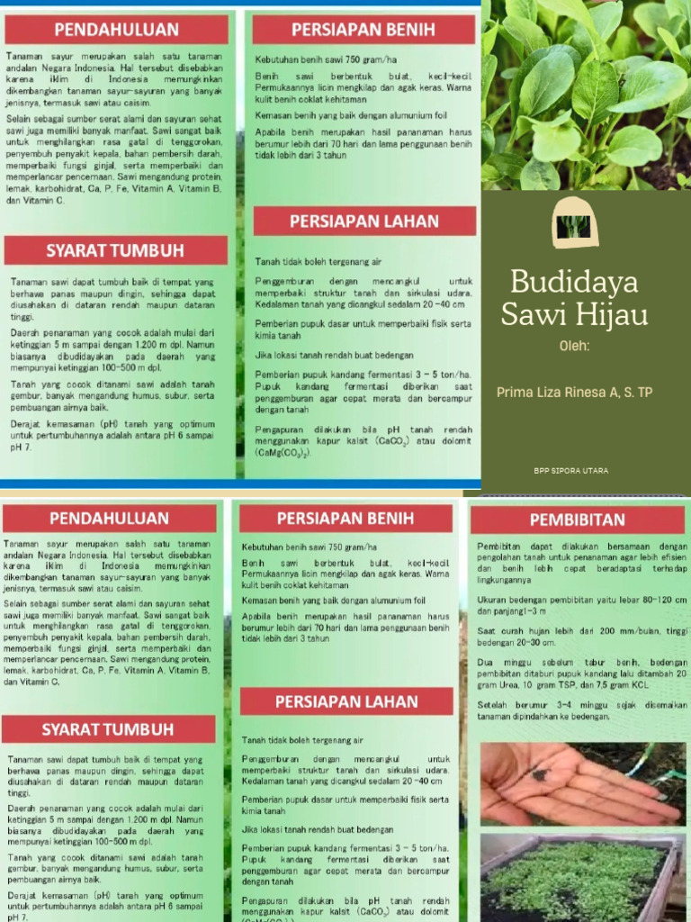 Folder Budidaya Sawi Hijau | PDF | Marketing