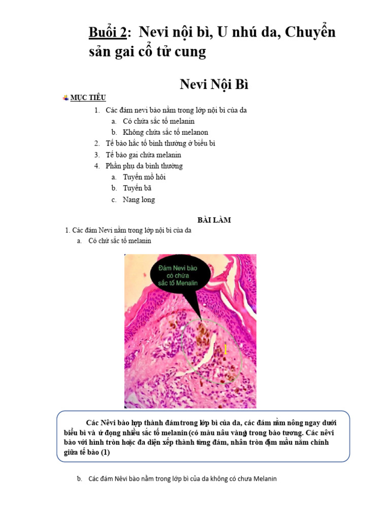 Bài 2 - TH GPB | PDF