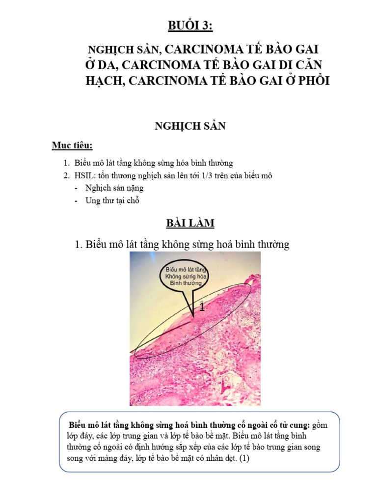 Bài 3 - TH GPB | PDF