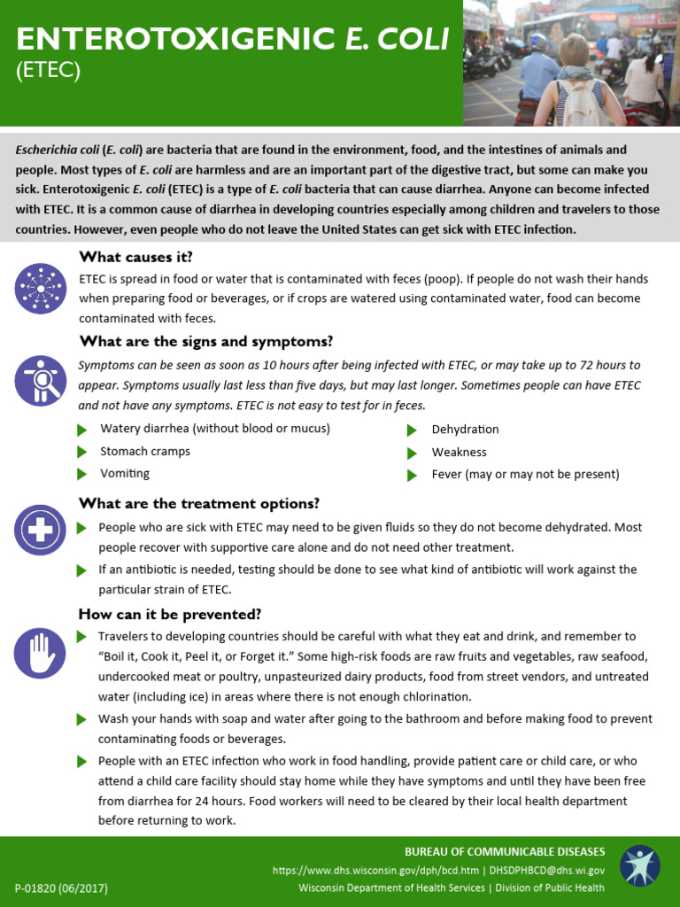 Enterotoxigenic E. Coli: (ETEC) | PDF | Diarrhea | Escherichia Coli