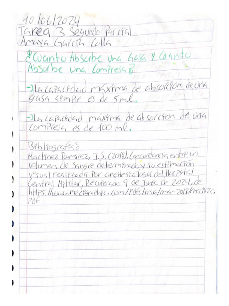 Tarea 3 Segundo Parcial - AGC | PDF